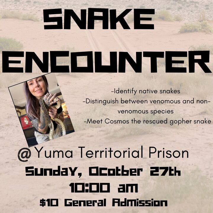 Snake Encounter - Yuma Territorial Prison State Park, Museum & Exhibits ...